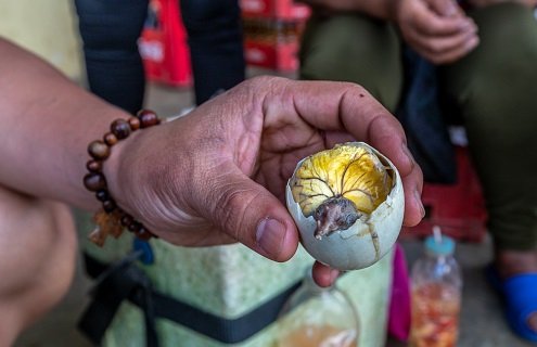 Balut, Makanan Khas Filipina yang Bikin Merinding - Holopis